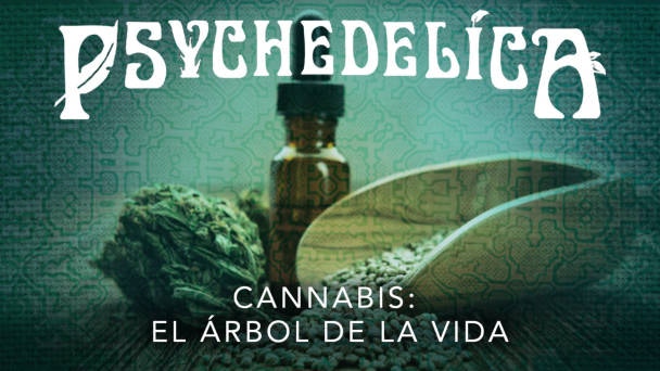 Cannabis: el árbol de la vida