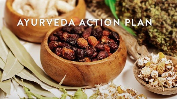 Ayurveda Action Plan | Gaia