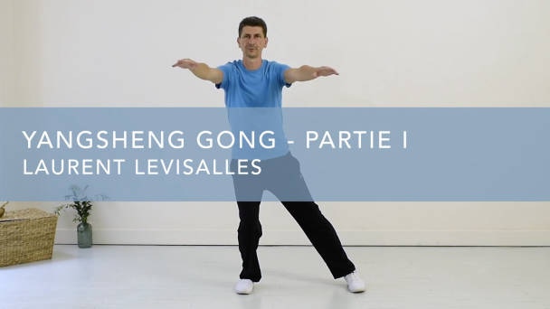YangSheng Gong - partie I